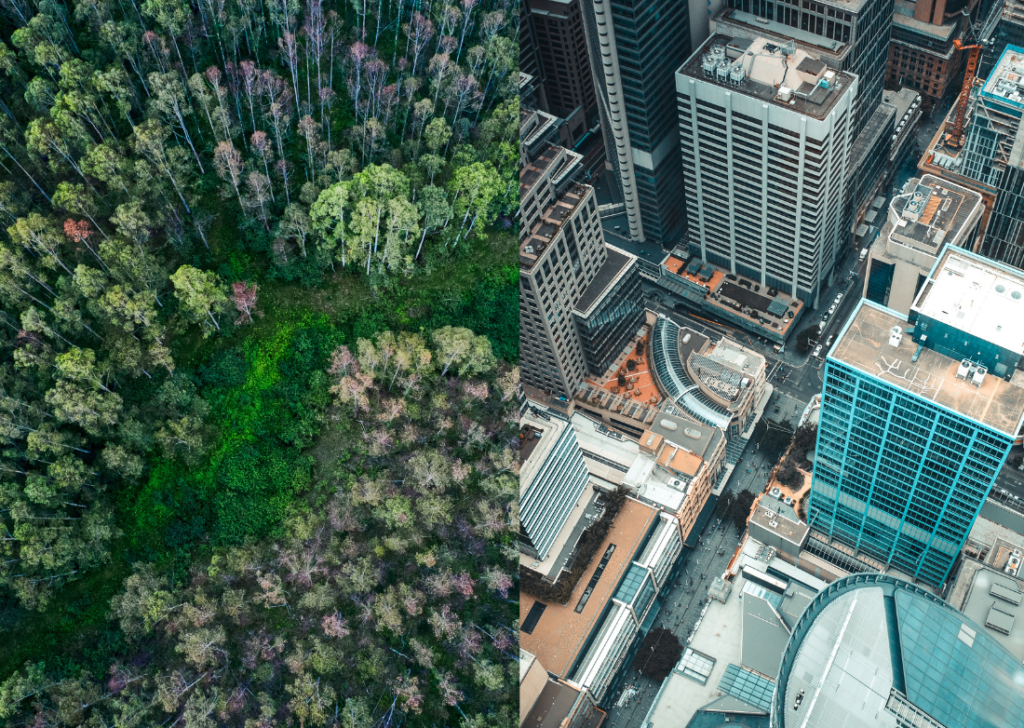 The 16th Annual E.L. ‘Ted’ Wheelwright Memorial Lecture: Heidi Norman ...